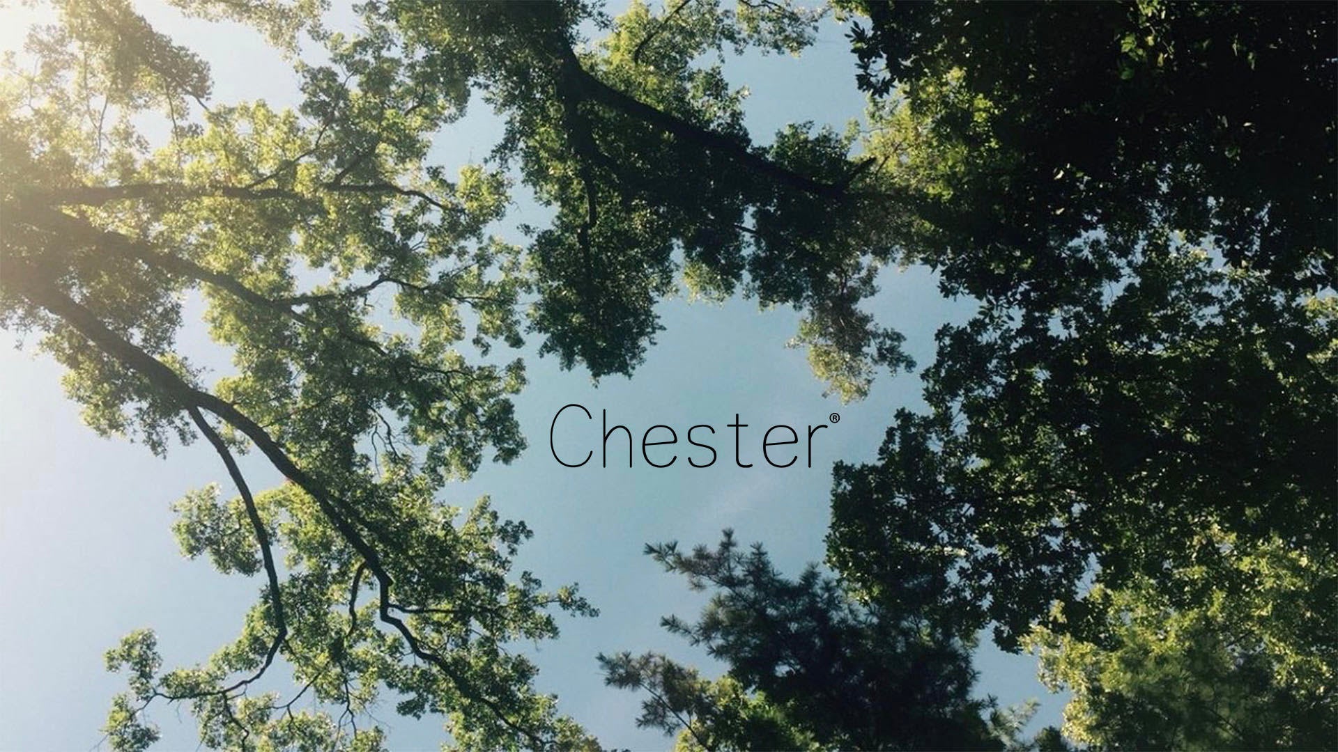 Chester（チェスター） | カッコつけないカッコよさを追求したアパレルブランド